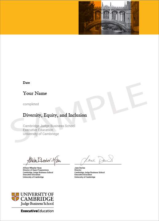 Diversity Equity and Inclusion Certification Online | DEI Strategies ...