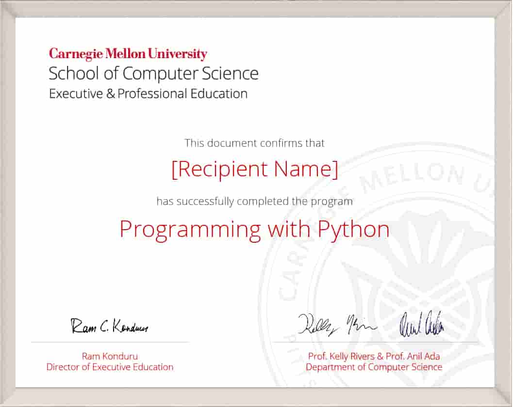 Python Online Course at Carnegie Mellon University SCS Exec Ed
