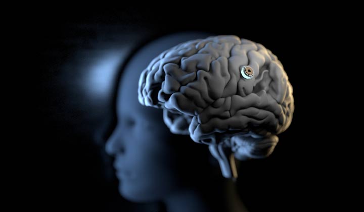 Neuroscience in Business Online Course at Wharton