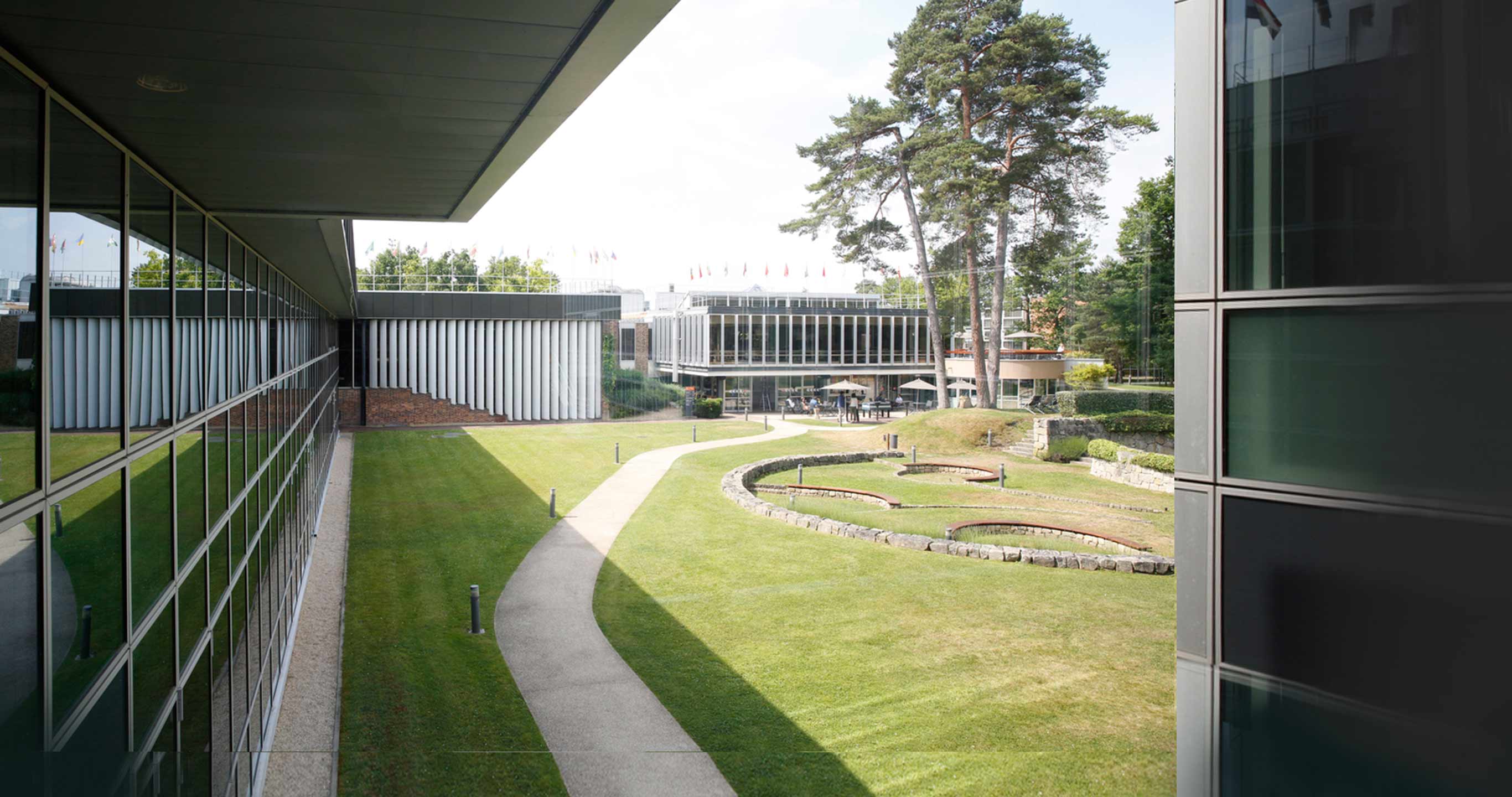 Chief Strategy Officer (CSO) Programme | INSEAD Exec Ed