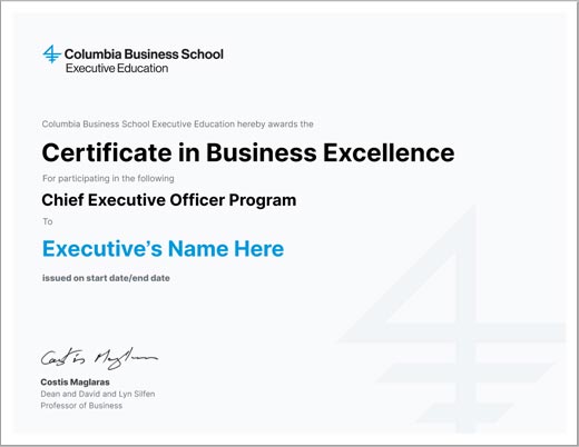 Chief Executive Officer Program