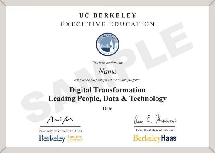 Digital Transformation Program | Berkeley Executive Education