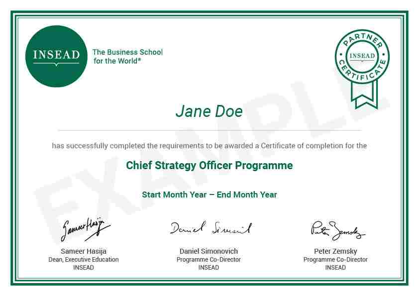 Chief Strategy Officer (CSO) Programme | INSEAD Exec Ed