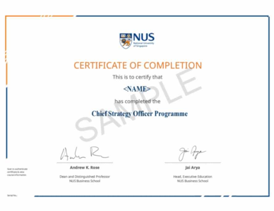 Chief Strategy Officer | Online Leadership Course by NUS Singapore ...