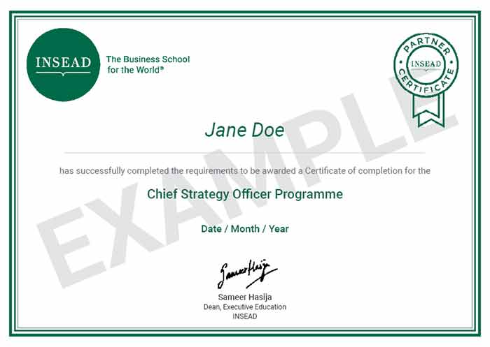 Chief Strategy Officer (CSO) Programme | INSEAD Exec Ed